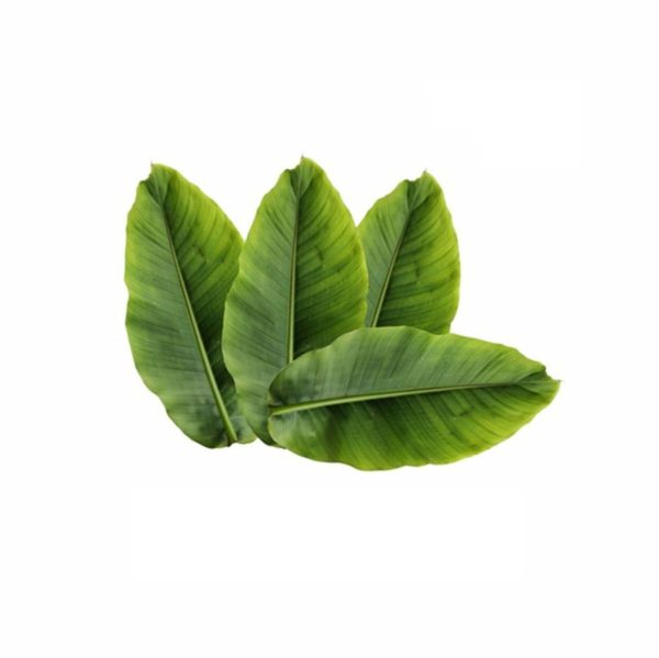 BANABA EXTRACT – Sri Devaraaja Nutraceutical